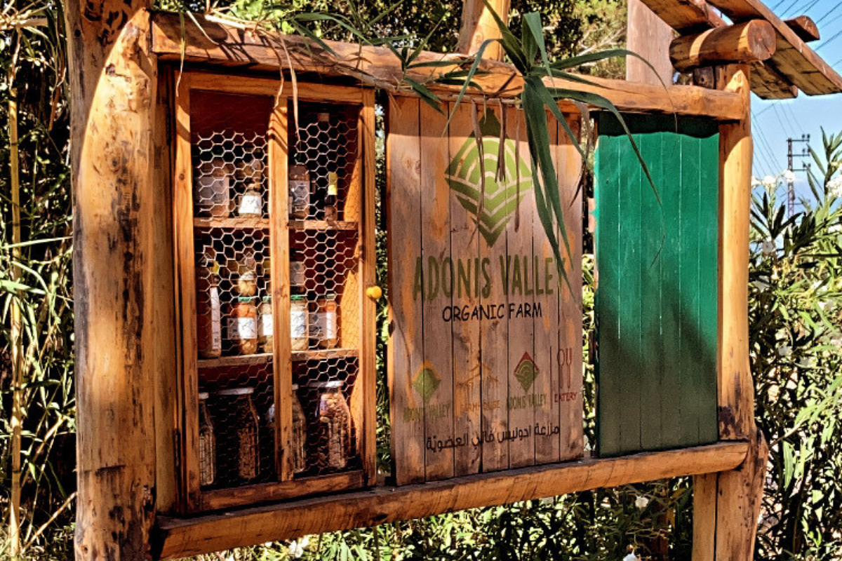 Get to Know: Adonis Valley – Zaatar Road